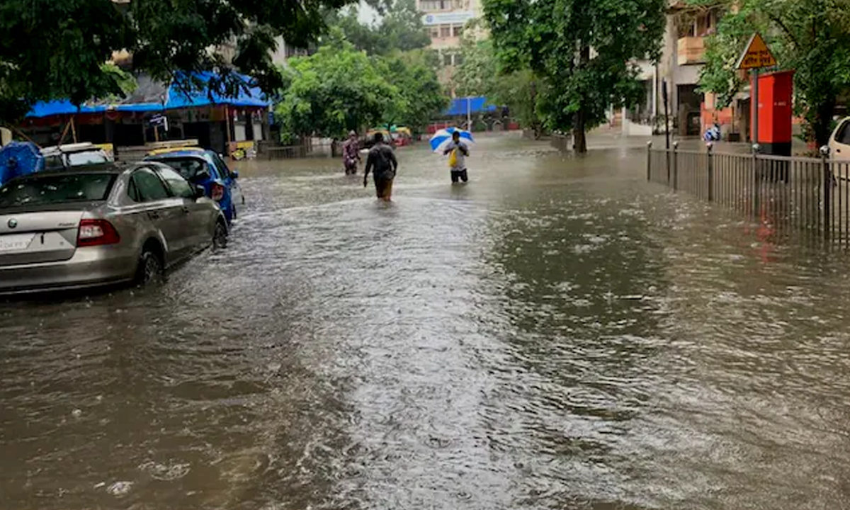 Pune Rain: बारिश के कारण घरो में गुसा कीड़ा-सांप, लोगो में डर का...